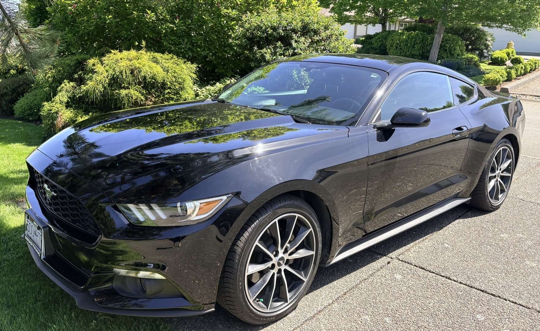 2017 Ford Mustang | $ 18,000 | 45,000 km | Gasoline Coupe for sale by ...