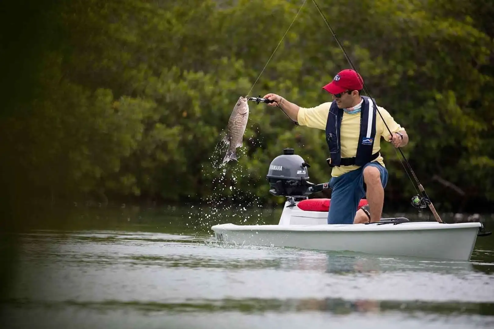2023 Yamaha F2.5 Portable | $ 1,349 Outboard Motor – 2 Stroke for sale ...