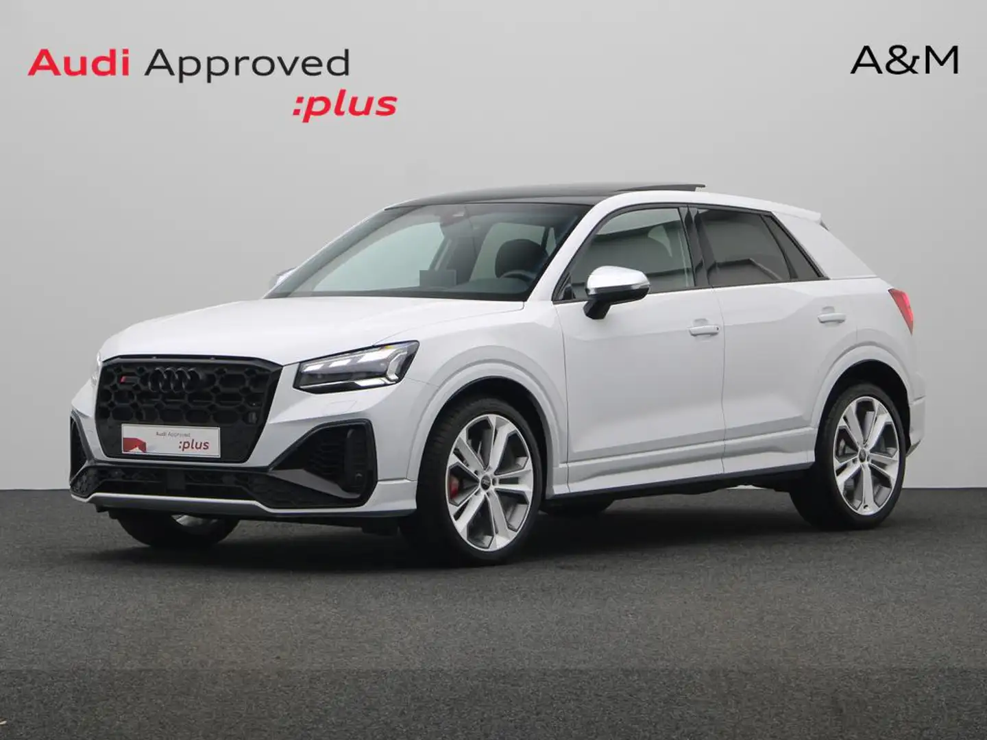 Audi SQ2 SUV/4x4/Pick-up in Wit tweedehands in Genk voor € 43.990