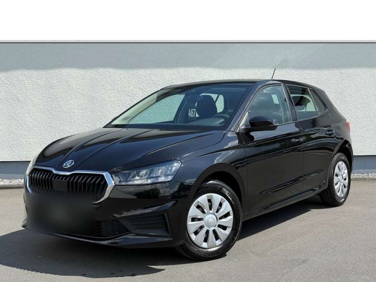 Skoda Fabia gebraucht kaufen in 89597 Munderkingen - AutoScout24 ...