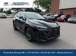 Freee Cars for Sale | AutoTrader.ca