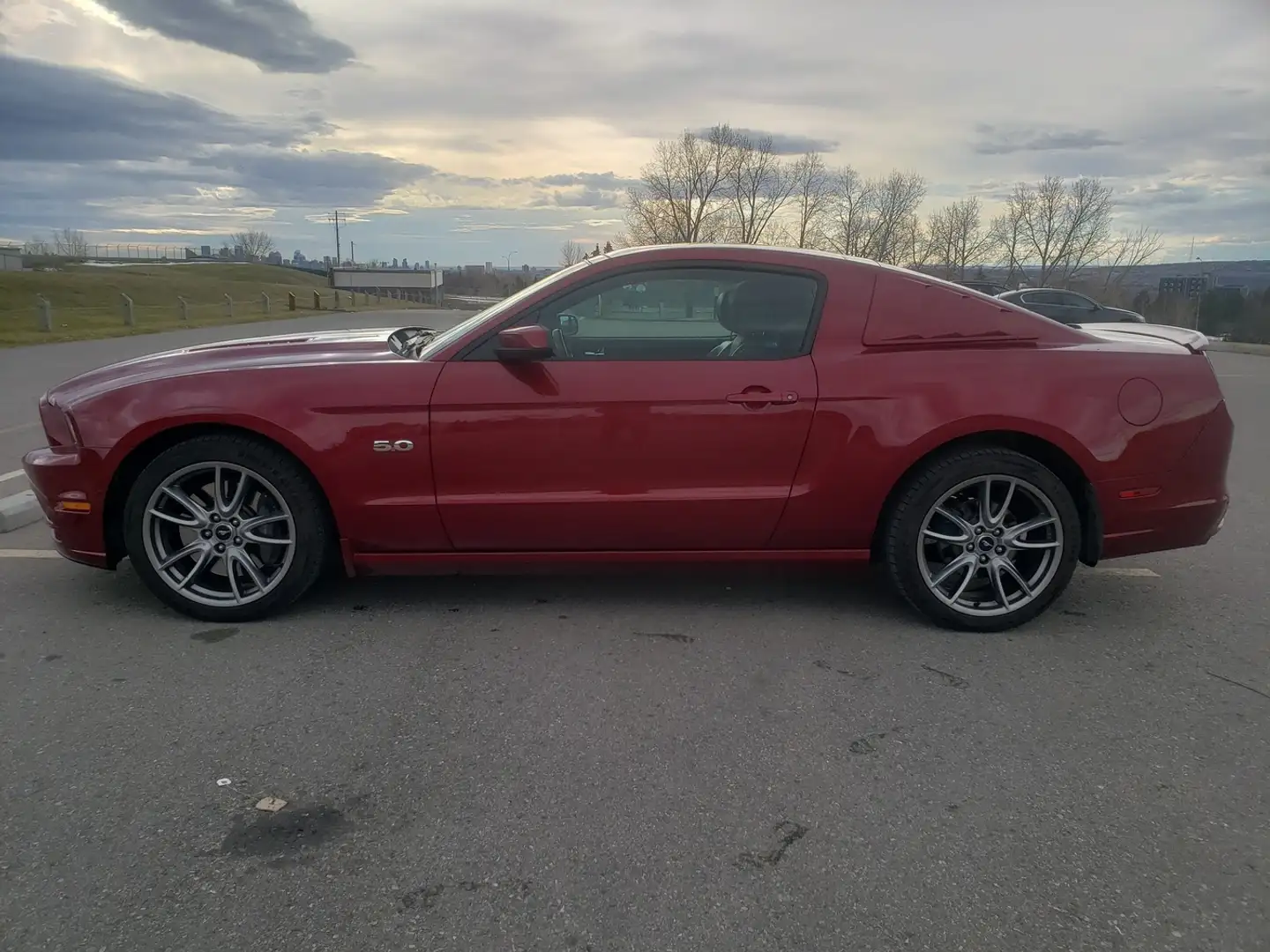 2014 Ford Mustang | $ 31,800 | 118,000 km | Gasoline Coupe for sale by ...