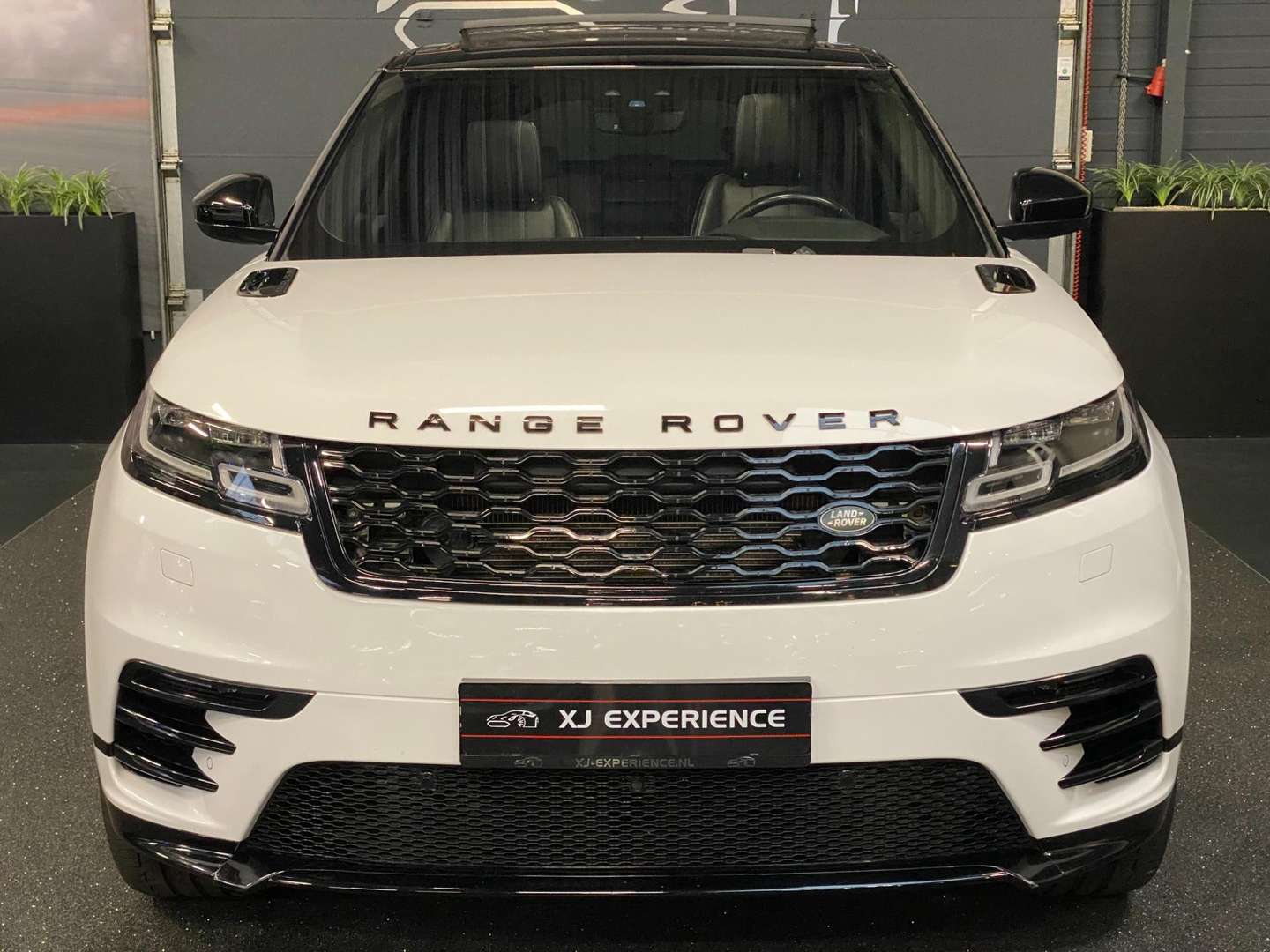 Land Rover Range Rover Velar occasion | SUV/Off-Road/Pick-Up | Wit | in ...