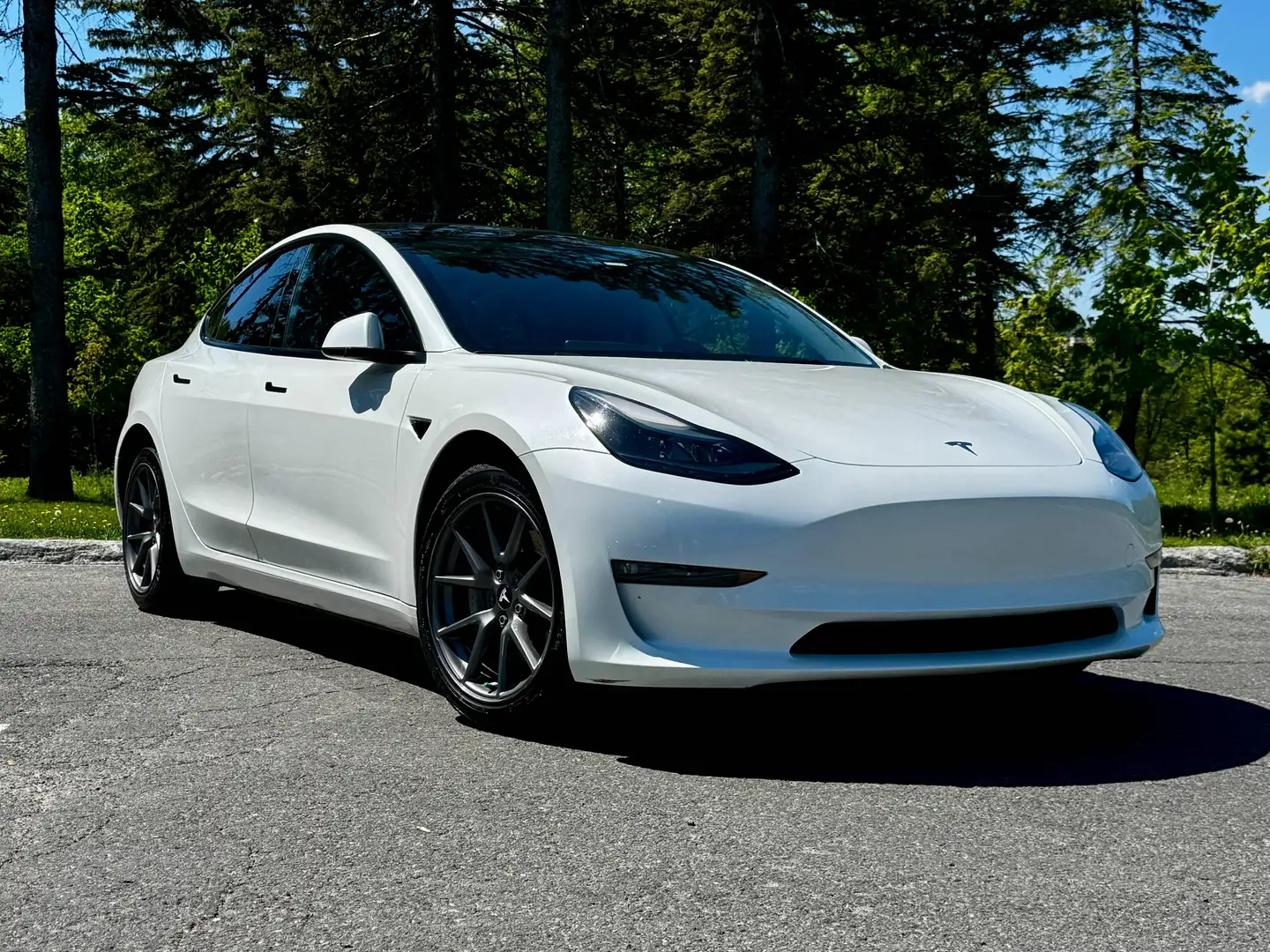 2023 Tesla Model 3 | $ 39,000 | 44,000 km | Electric Sedan for sale by ...