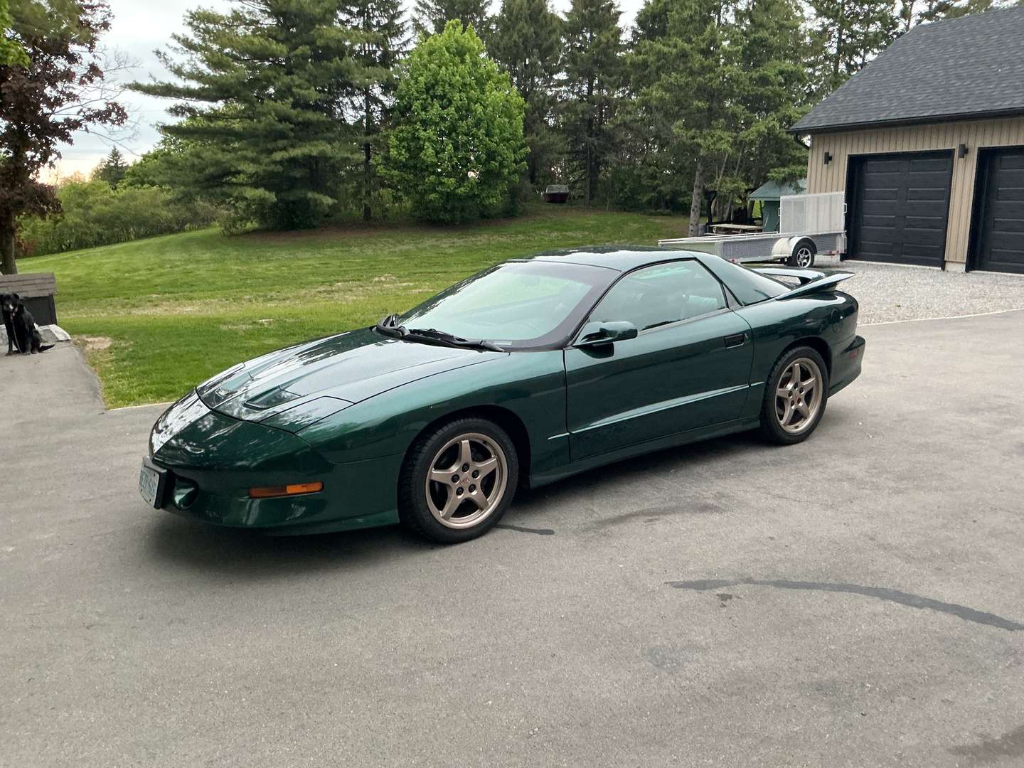 1995 Pontiac Firebird | $ 11,900 | 291,000 km | Others Coupe for sale ...