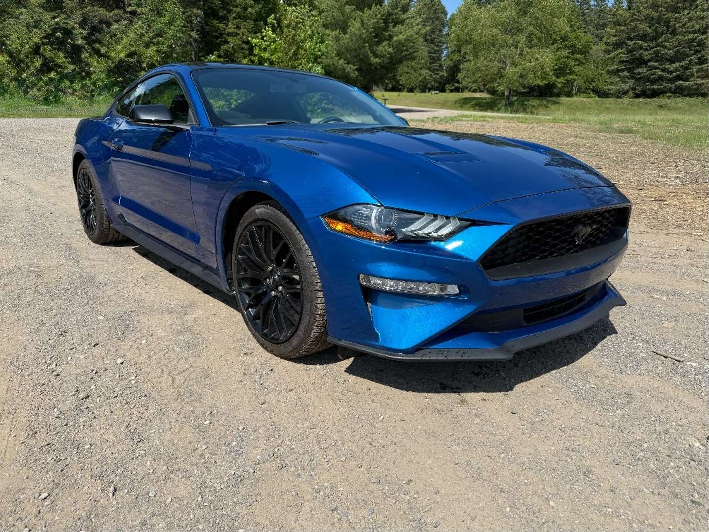 2018 Ford Mustang | $ 22,999 | 68,668 km | Gasoline Coupe for sale by ...