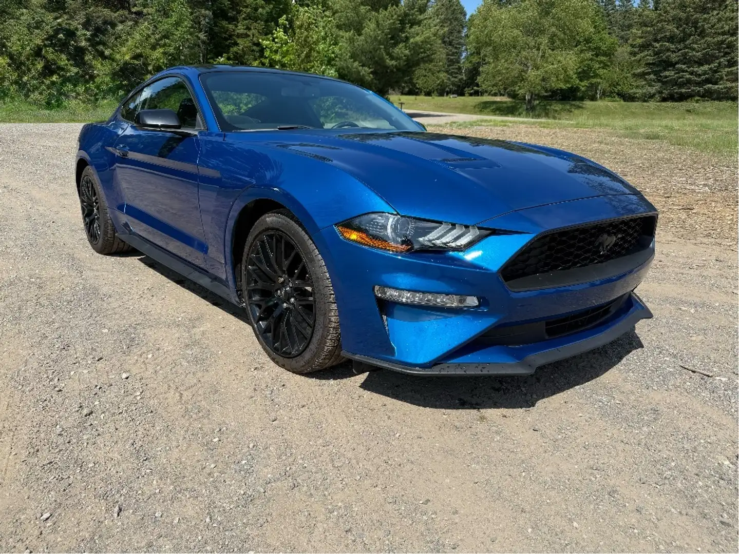 2018 Ford Mustang | $ 22,999 | 68,668 km | Gasoline Coupe for sale by ...