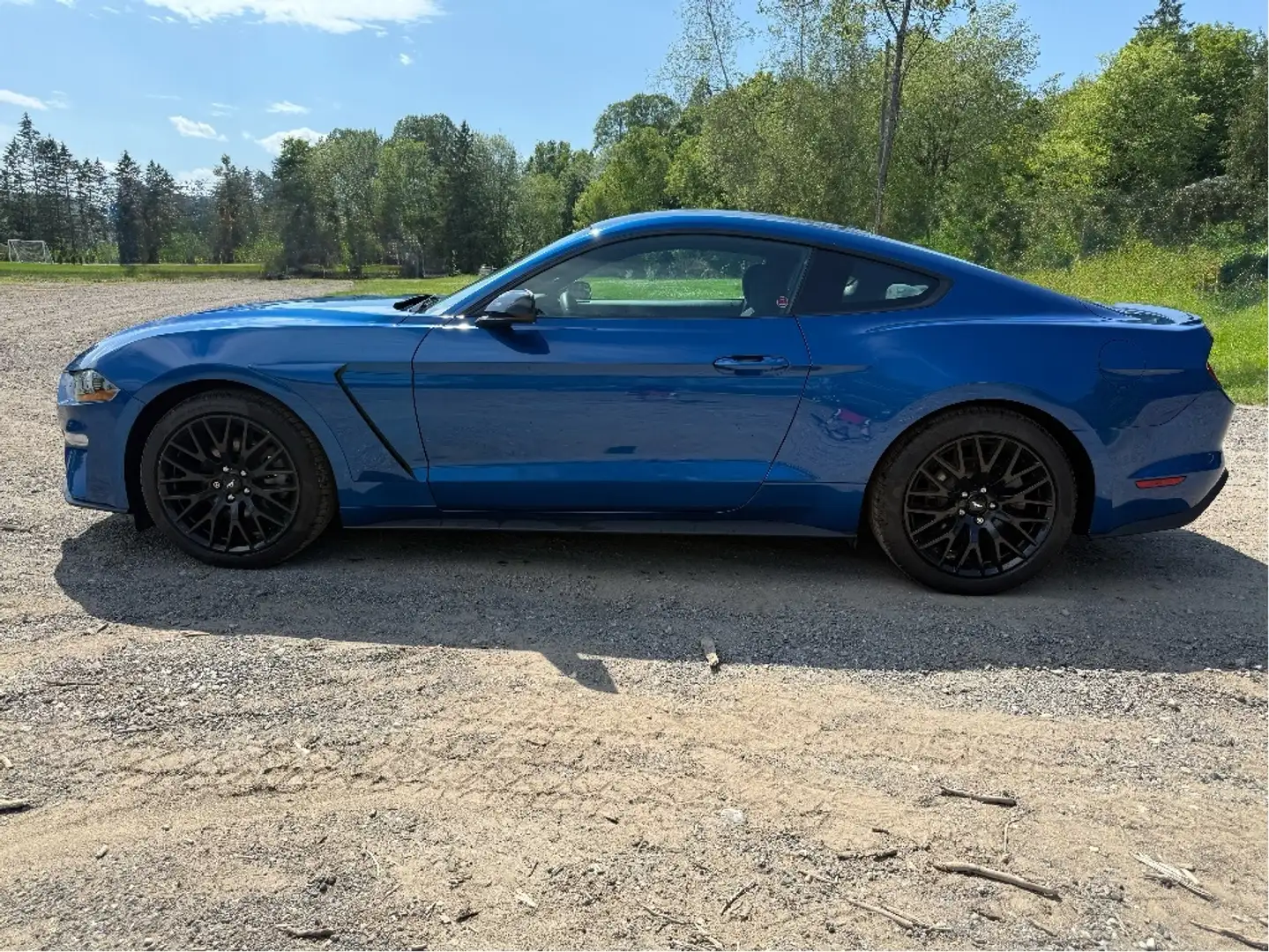 2018 Ford Mustang | $ 22,999 | 68,668 km | Gasoline Coupe for sale by ...