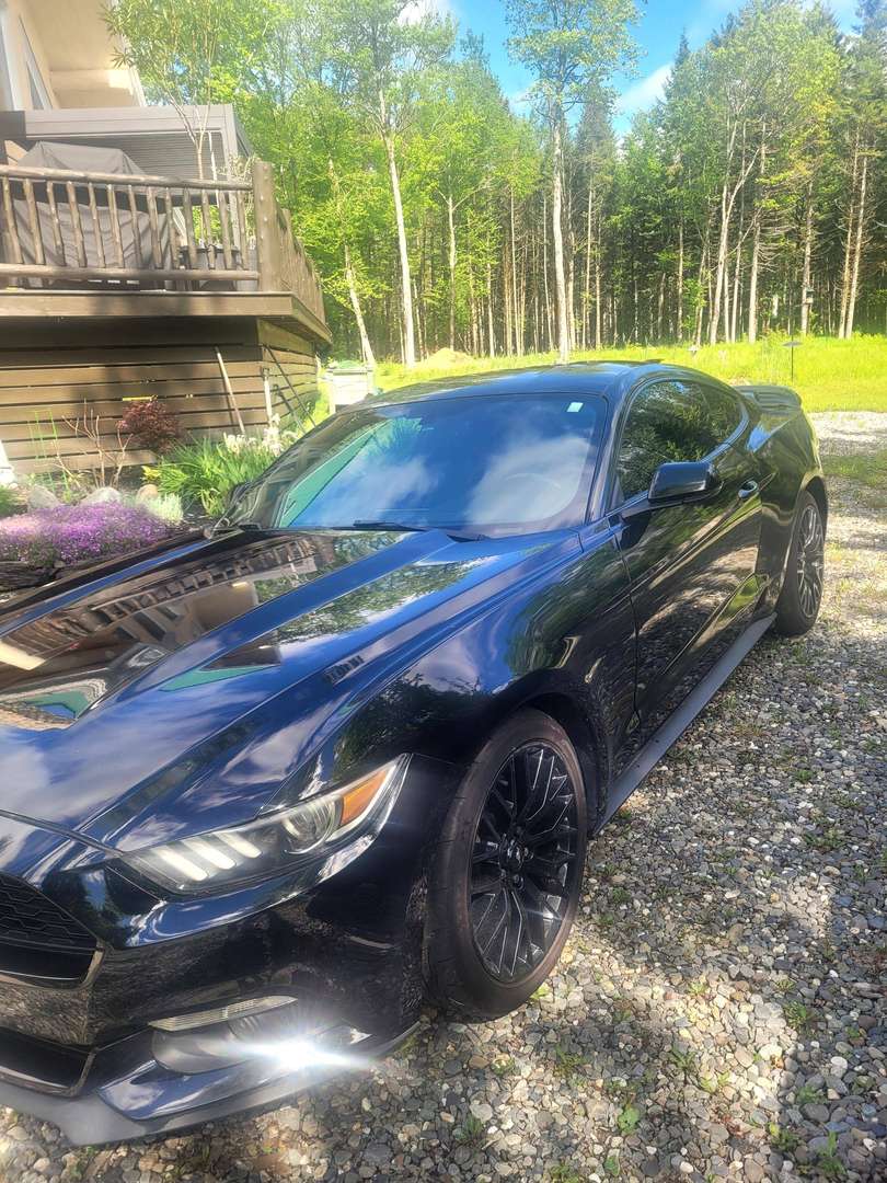 2016 Ford Mustang | $ 15,000 | 138,333 km | Gasoline Coupe for sale by ...
