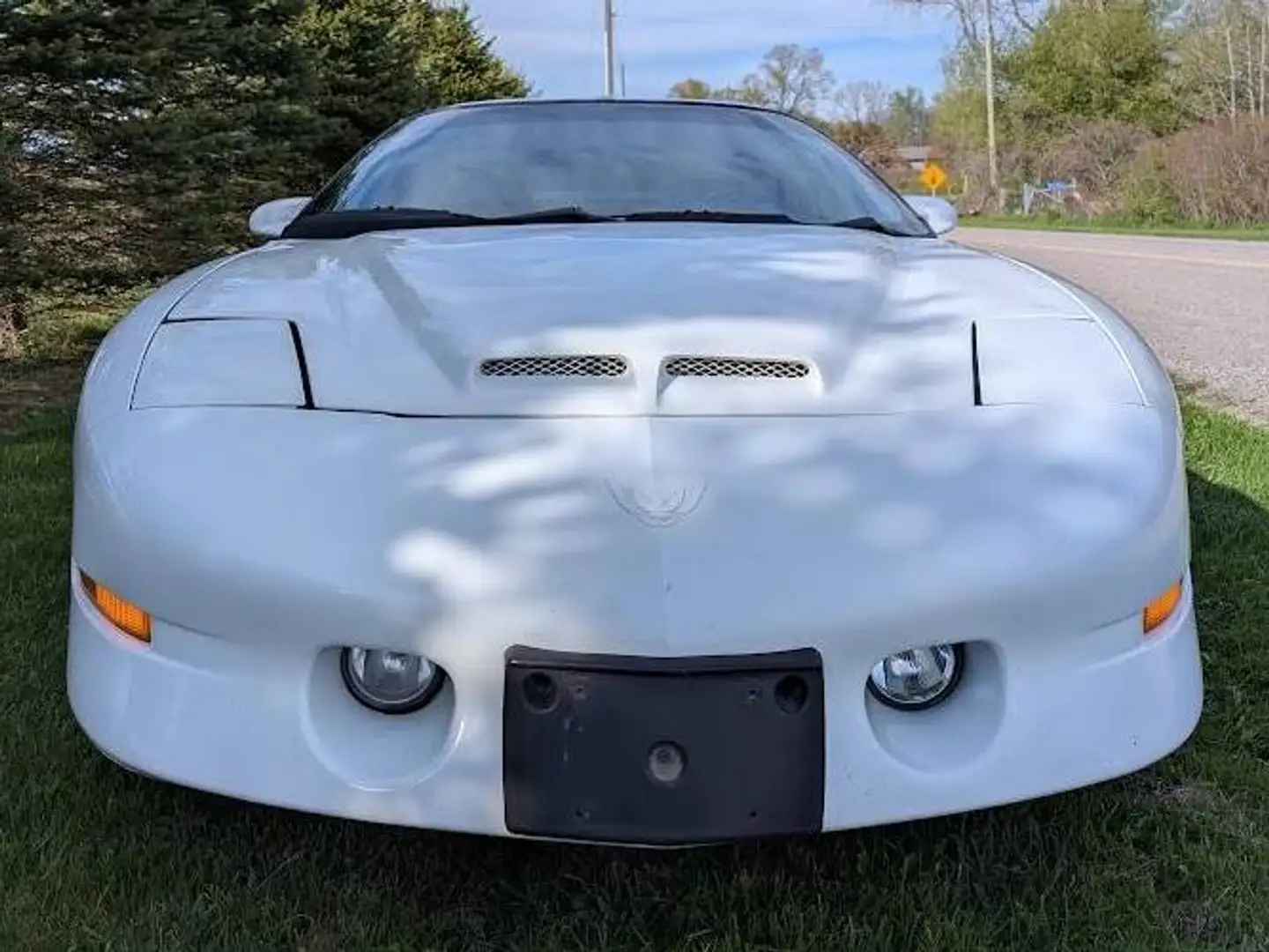 1995 Pontiac Firebird | $ 12,000 | 209,127 km | Gasoline Coupe for sale ...