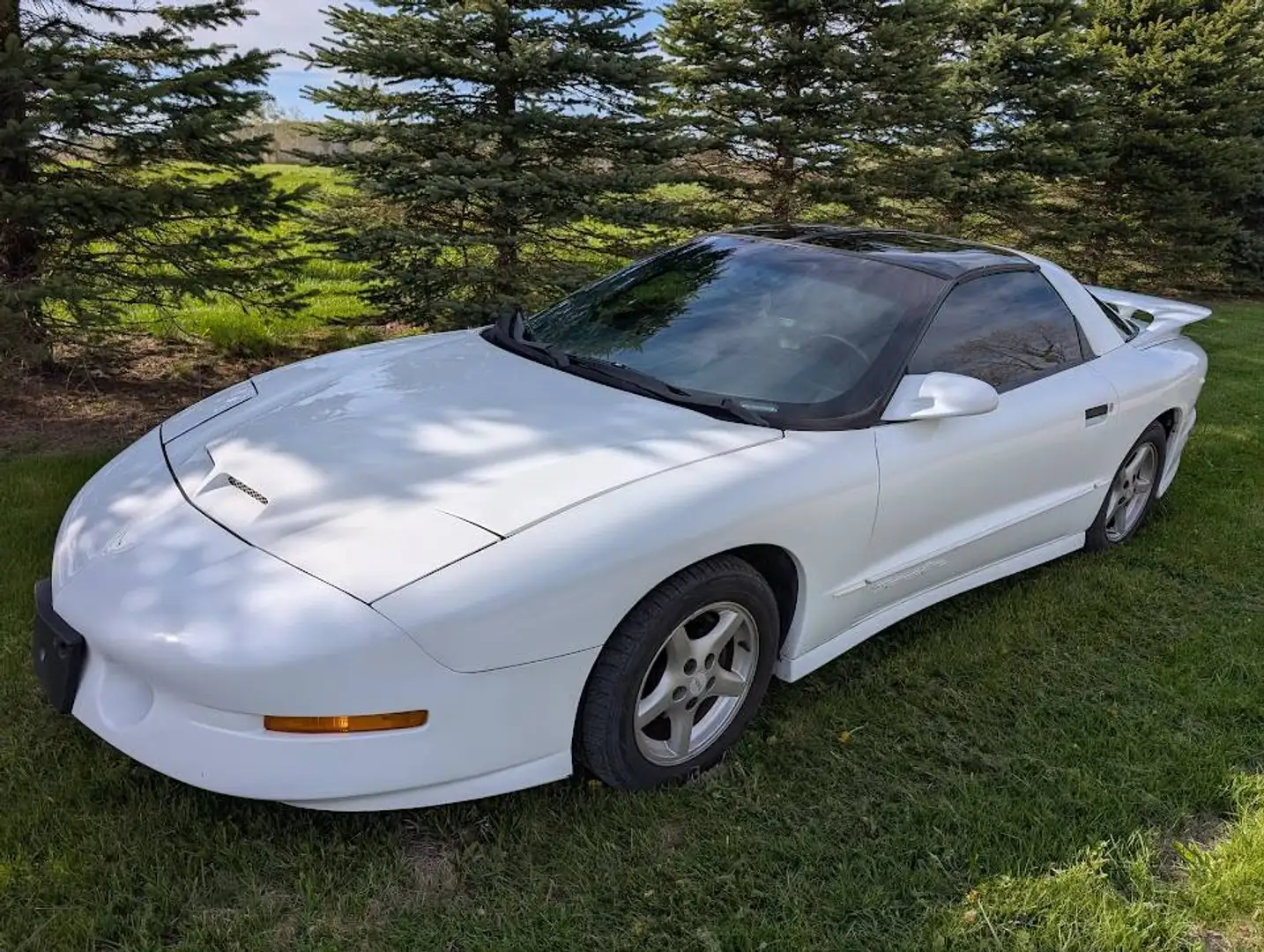 1995 Pontiac Firebird | $ 12,000 | 209,127 km | Gasoline Coupe for sale ...