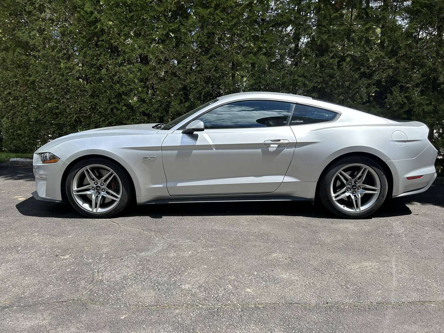 2019 Ford Mustang | $ 49,800 | 25,000 km | Gasoline Coupe for sale by ...