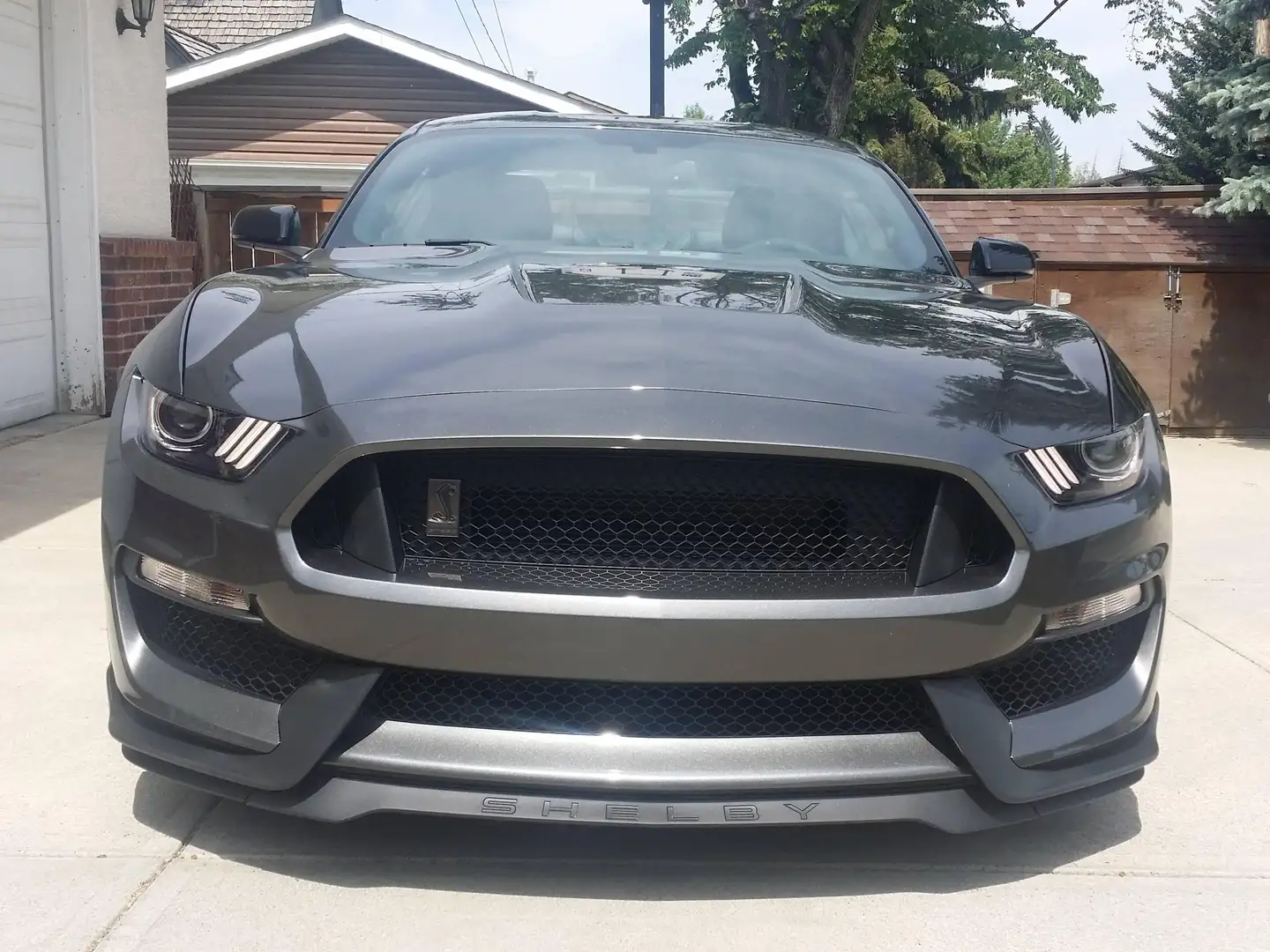 2016 Ford Mustang | $ 75,000 | 25,888 km | Gasoline Coupe for sale by ...