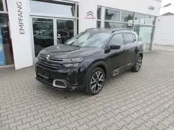 Autohaus Zabel Strausberg Citroen