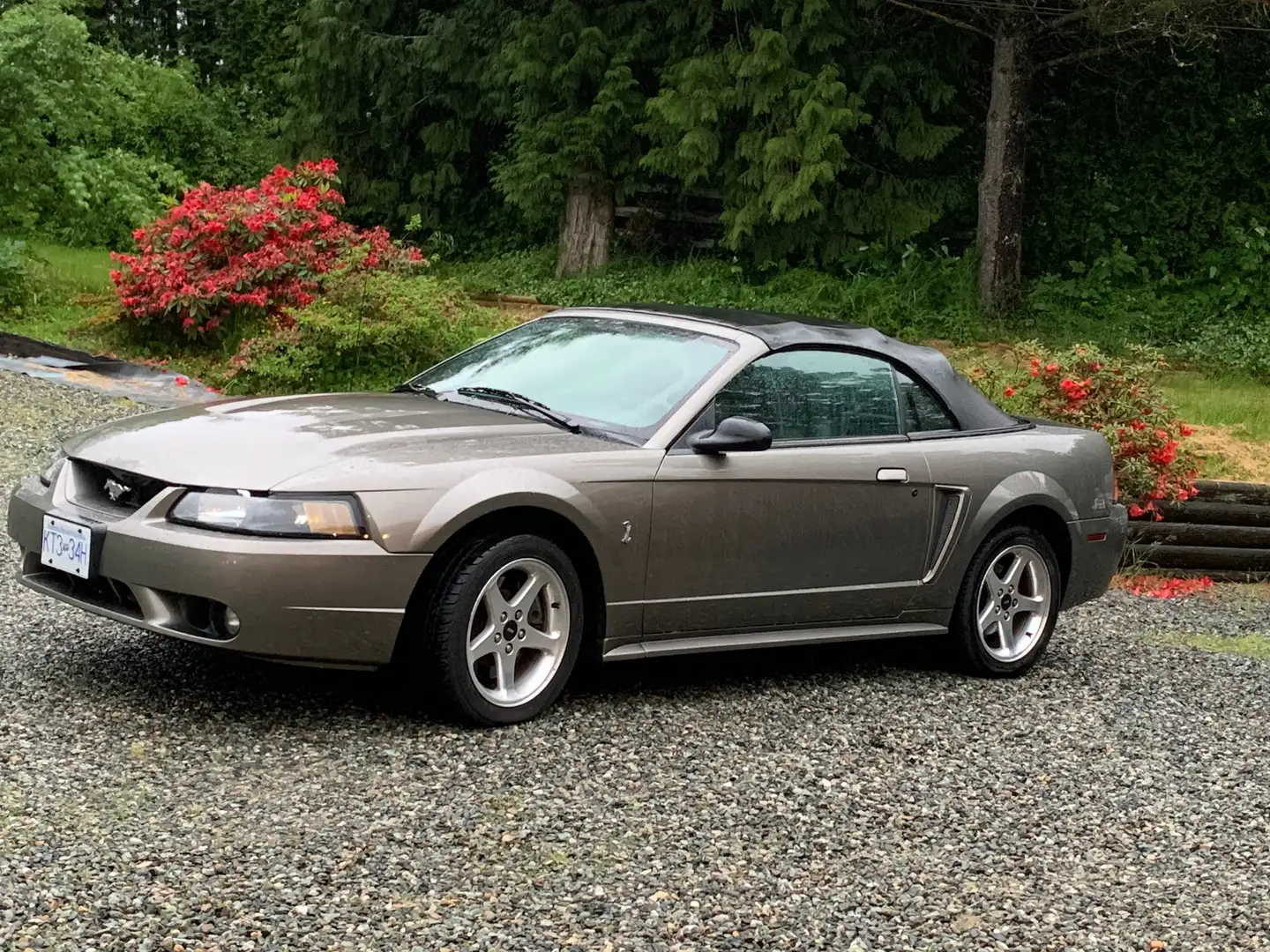 2001 Ford Mustang | $ 18,900 | 157,000 km | Gasoline Convertible for ...