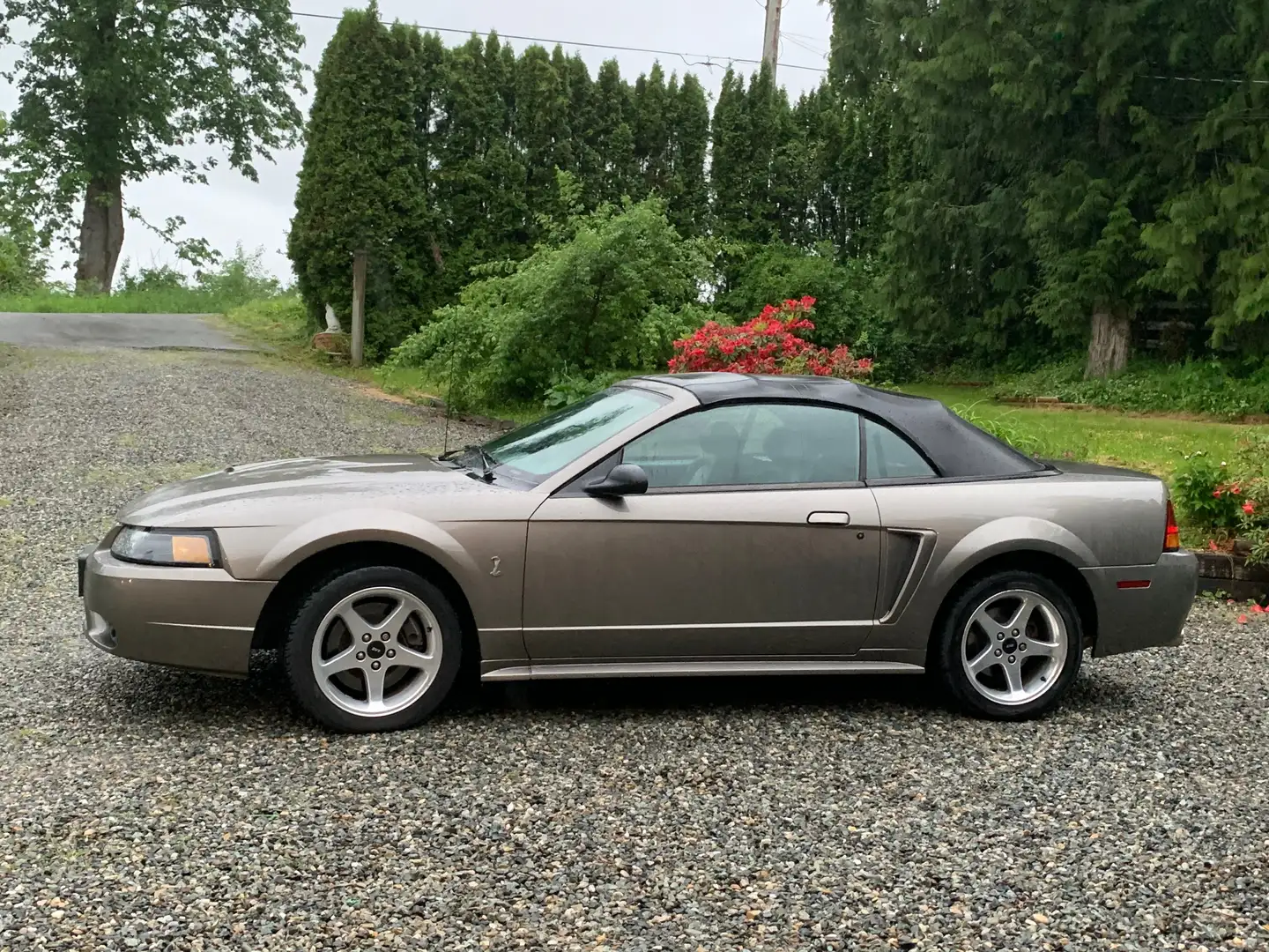2001 Ford Mustang | $ 18,900 | 157,000 km | Gasoline Convertible for ...