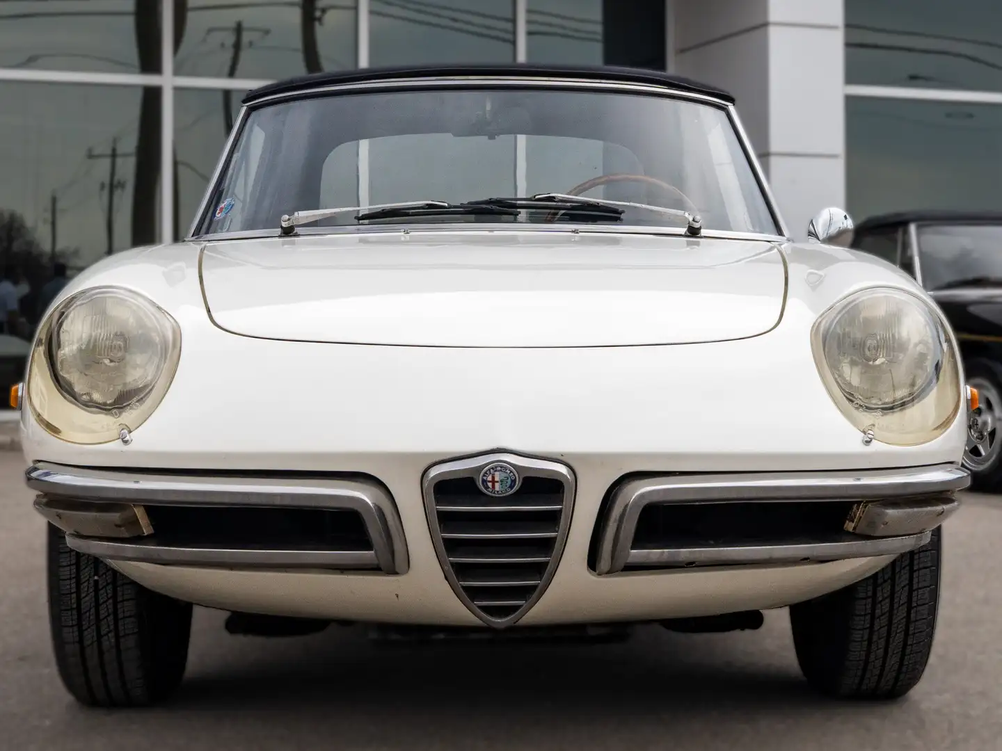 1969 Alfa Romeo Spider | $ 69,995 | 142,000 km | Gasoline Others for ...