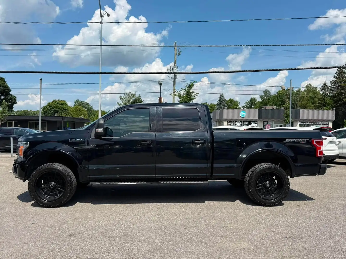 Ford F150 Flex Fuel