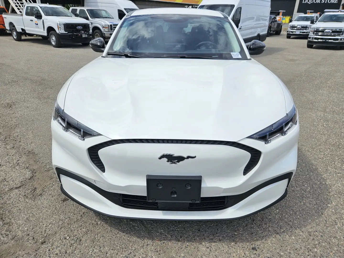 2026 Ford Mustang Mach-E | $ 44,942 | 13 km | Gasoline SUV for sale by ...
