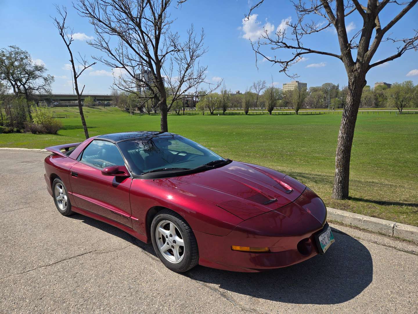 1995 Pontiac Firebird | $ 16,900 | 104,000 km | Gasoline Coupe for sale ...