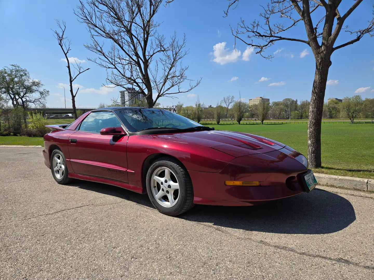 1995 Pontiac Firebird | $ 16,900 | 104,000 km | Gasoline Coupe for sale ...