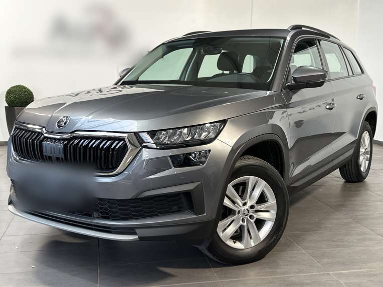 Skoda Kodiaq gebraucht kaufen in Artern - AutoScout24 Deutschland