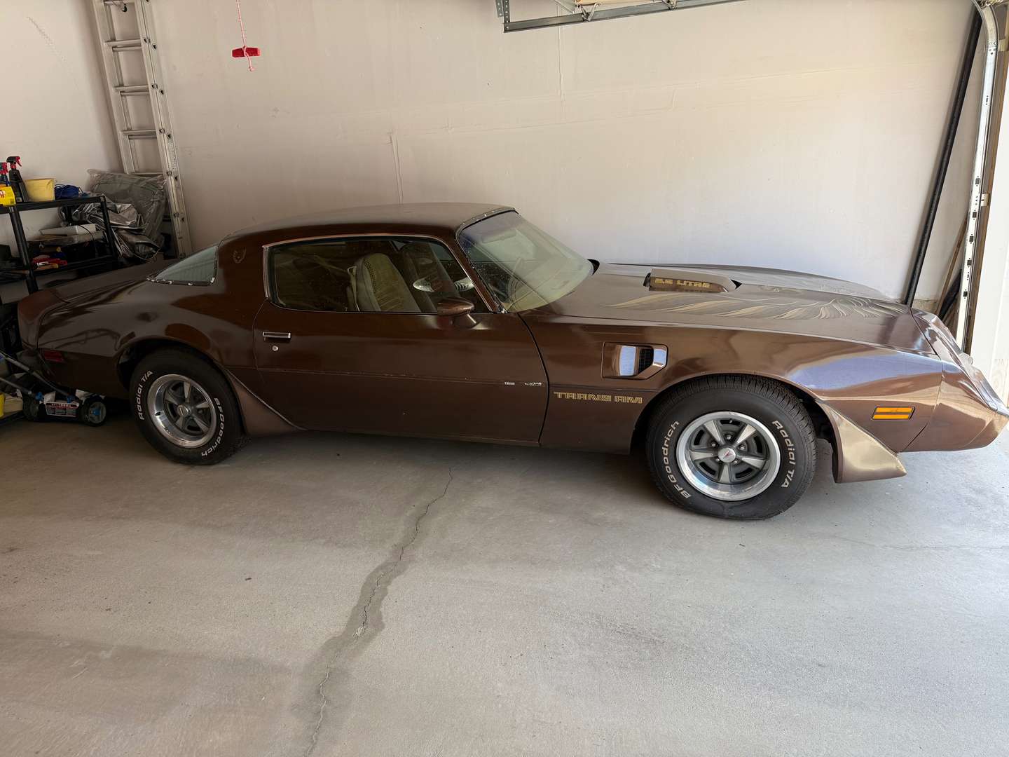 1979 Pontiac Firebird | $ 12,000 | 81,000 km | Gasoline Coupe for sale ...