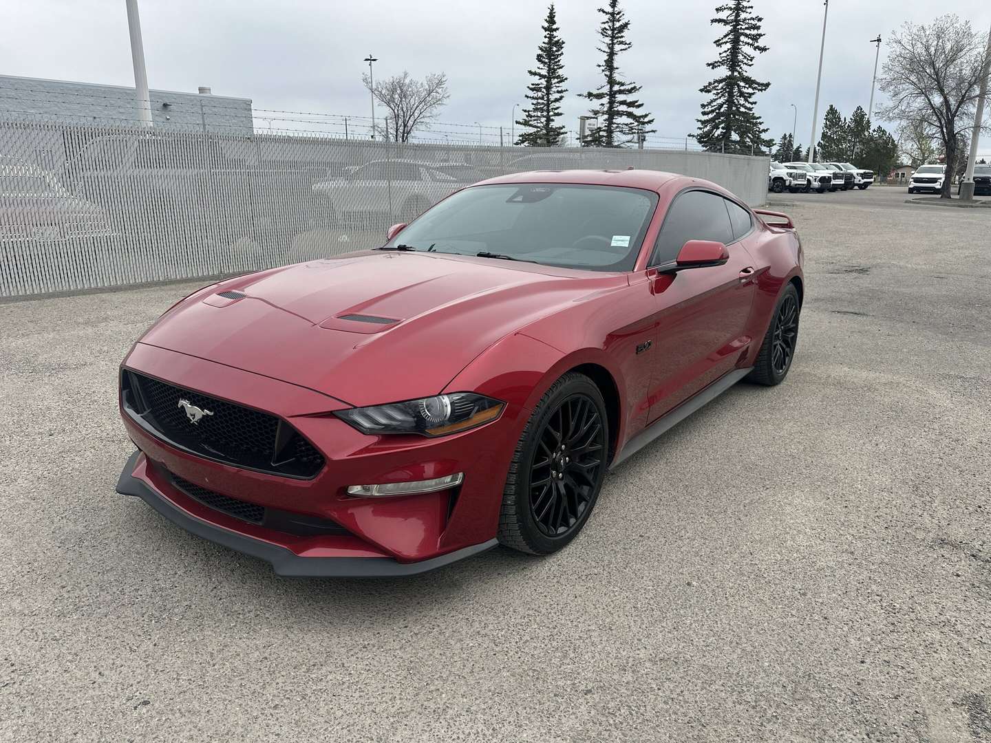Ford Mustang 2022 | 49 900 $ | 29 391 km | Coupé à Essence en vente ...