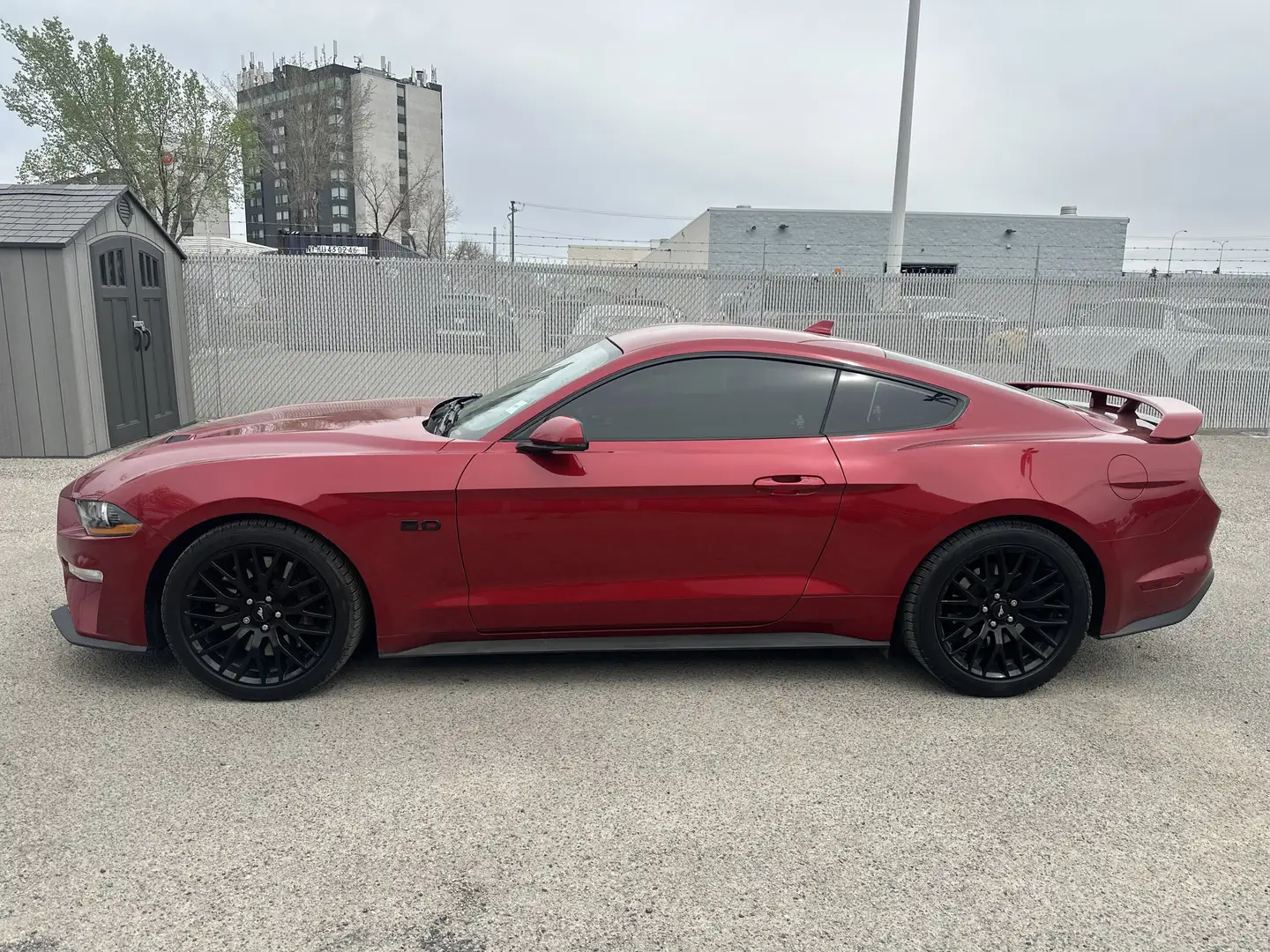 Ford Mustang 2022 | 49 900 $ | 29 391 km | Coupé à Essence en vente ...