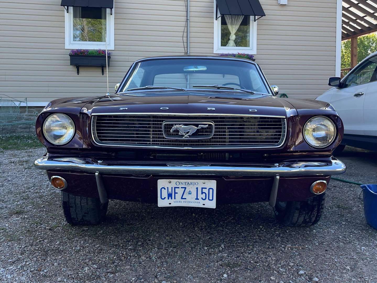 Ford Mustang 1966 | 58 000 $ | 3 000 km | Coupé à Essence en vente par ...