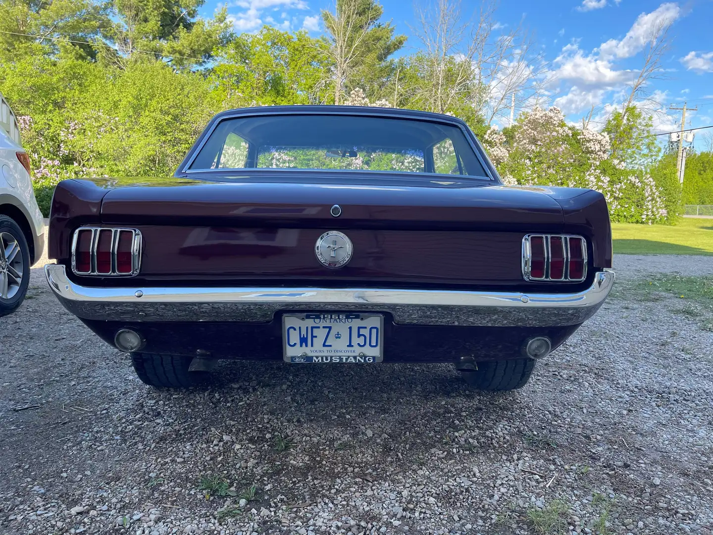 Ford Mustang 1966 | 58 000 $ | 3 000 km | Coupé à Essence en vente par ...