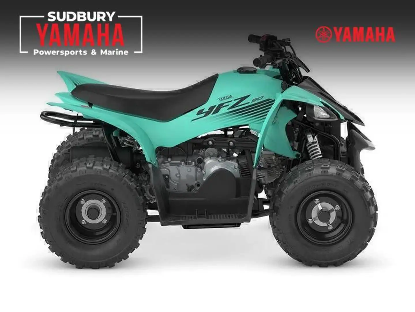 2025 Yamaha Unspecified | $ 3,799 ATV - off road for sale by Sudbury ...