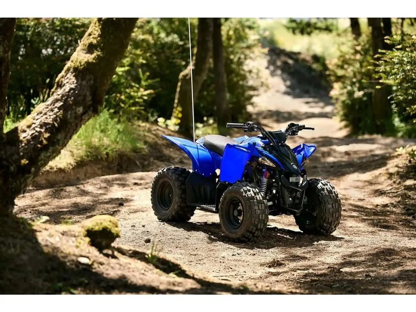 2025 Yamaha Unspecified | $ 3,799 ATV - off road for sale by Sudbury ...