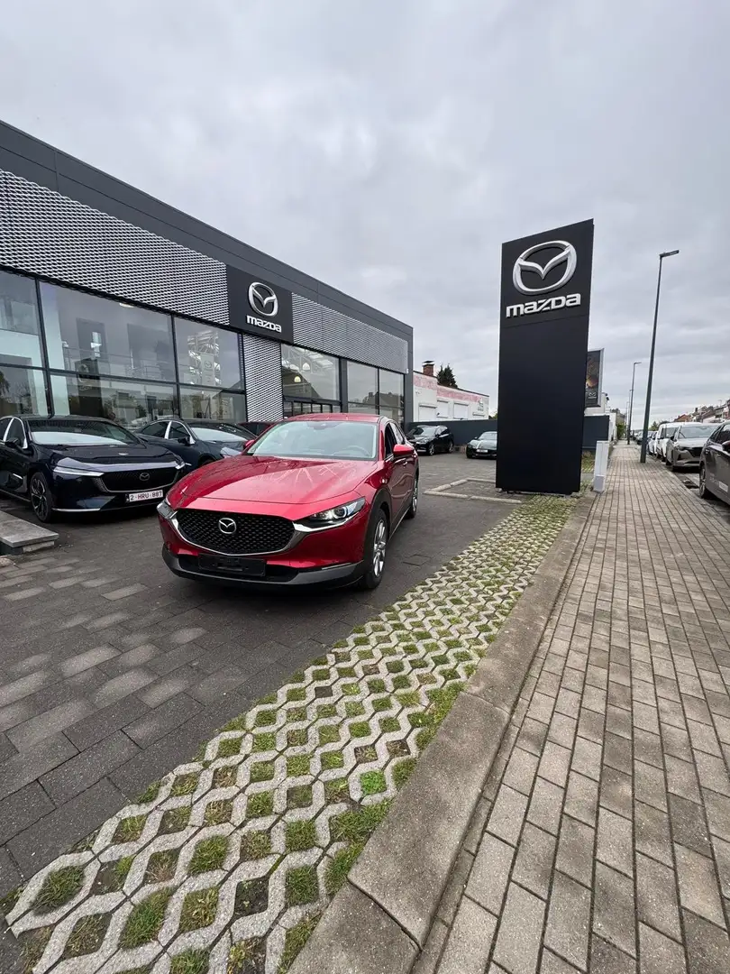 Mazda CX-30 SUV/4x4/Pick-up in Rood tweedehands in Sint-Stevens-Woluwe voor € 23.490