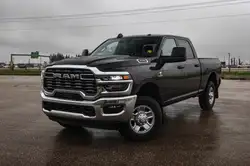 Etm-group Cars for Sale | AutoTrader.ca