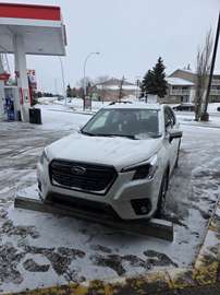 2024 Subaru Forester - Canadian Prices, Specs, Photos | AutoTrader.ca